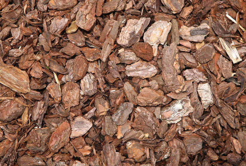 Paillage écorce de pin - 60 Litres • Plantes de Provence
